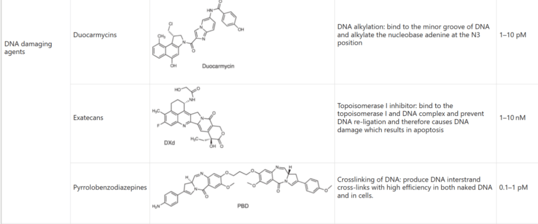 ADC各大毒素如何选择？IC50、作用机制、临床管线（附全景布局图）_细胞_他汀_蛋白