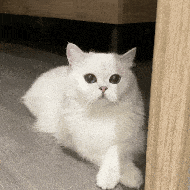 记住 | French leave“法国式离别”是怎样的？_the_英语_take