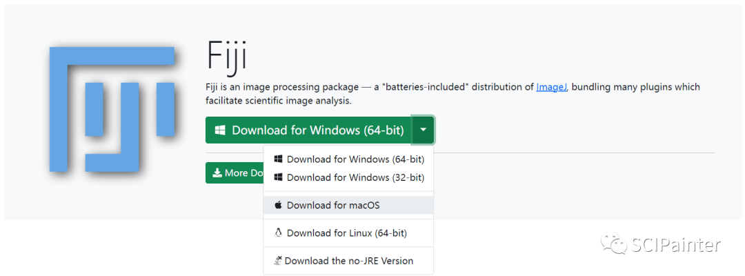 imagej教程测面积 - 科研图像处理案例实操教程分享 - 赛派号