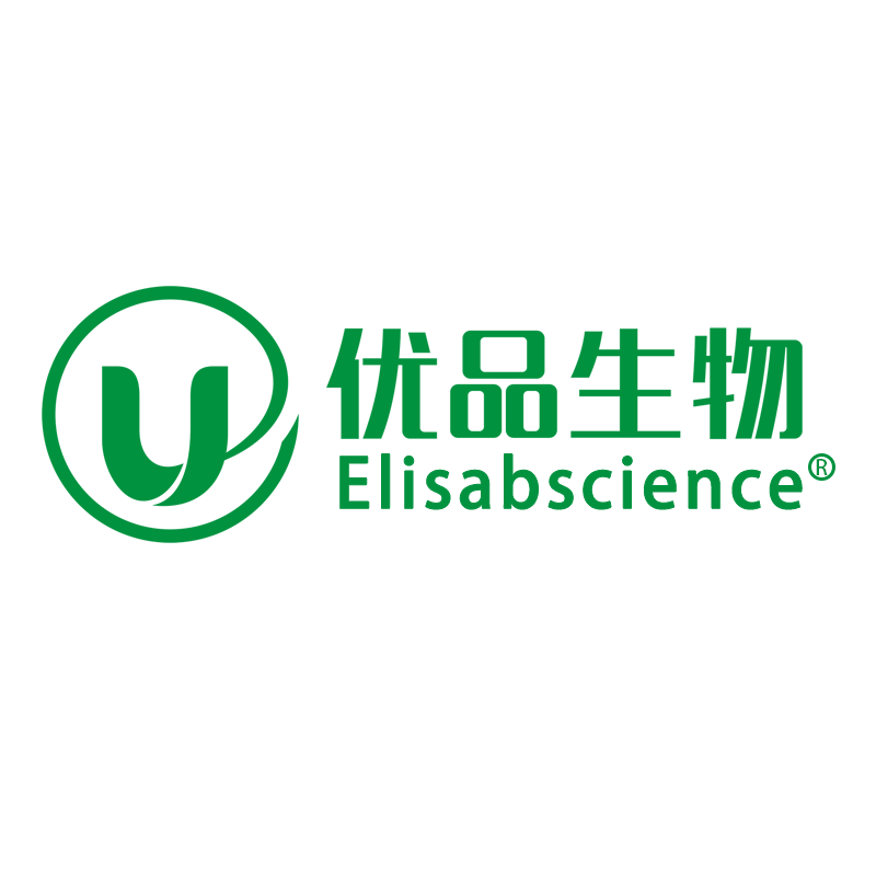 Western Blot抗体选择策略与验证方法_识别_样本_条带