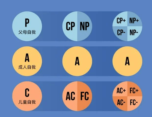 【超值福利课】5天体验沟通分析学（TA）的魅力_状态_儿童_父母
