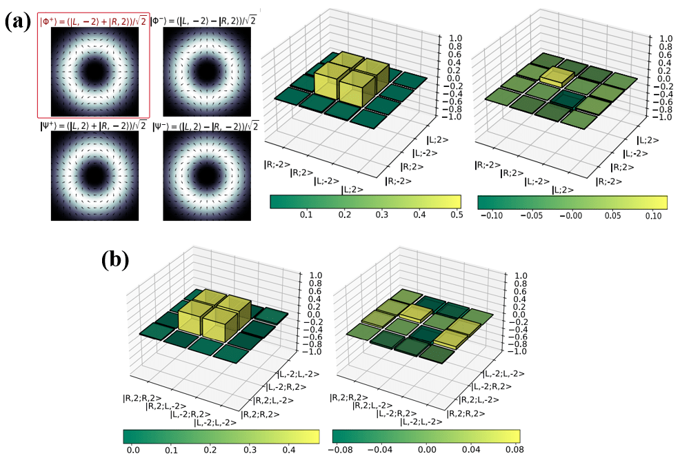 【OAM 30周年特别专题】光子轨道角动量：多元的未来 | Advanced Photonics_研究_应用_光学