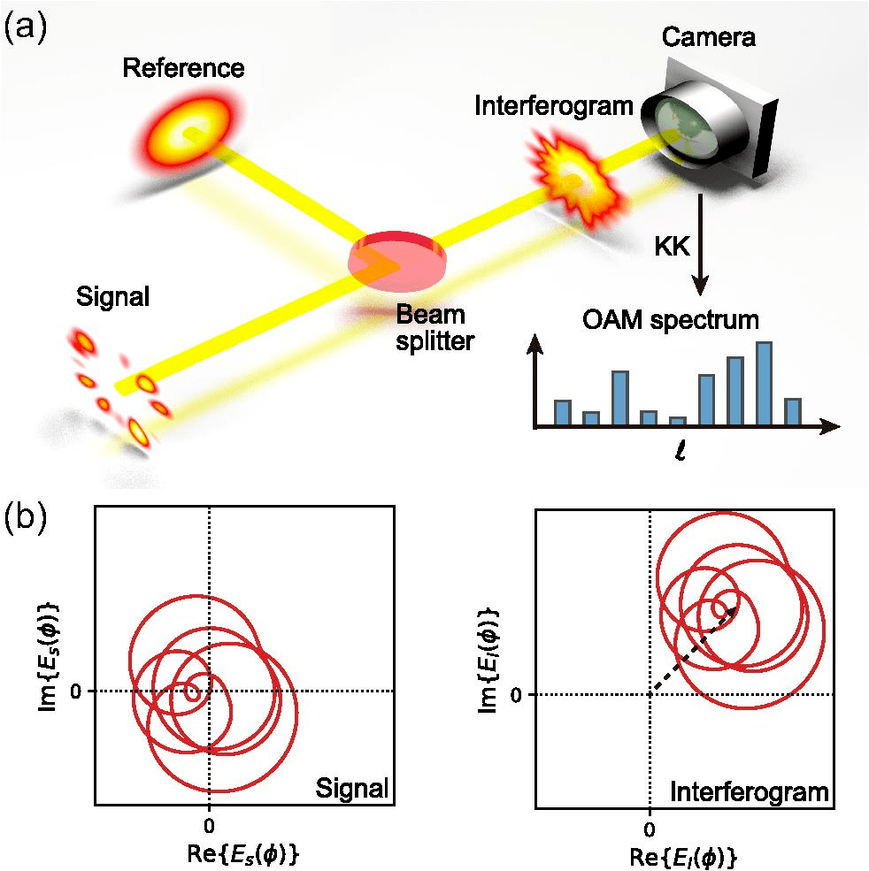 【OAM 30周年特别专题】光子轨道角动量：多元的未来 | Advanced Photonics_研究_应用_光学