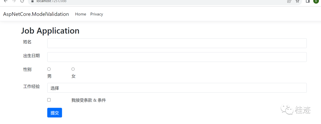 Aspnet Core 模型验证系列一cs 
