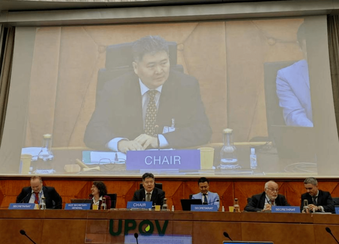 中心派员赴瑞士参加国际植物新品种保护联盟（UPOV）系列会议_我国_进展_品种权