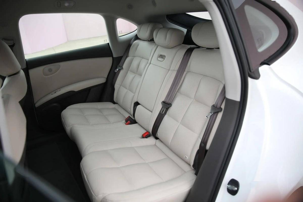 20多万买纯电SUV，小鹏G6、Model Y、智己LS6选谁更合适？_搜狐汽车_搜狐网