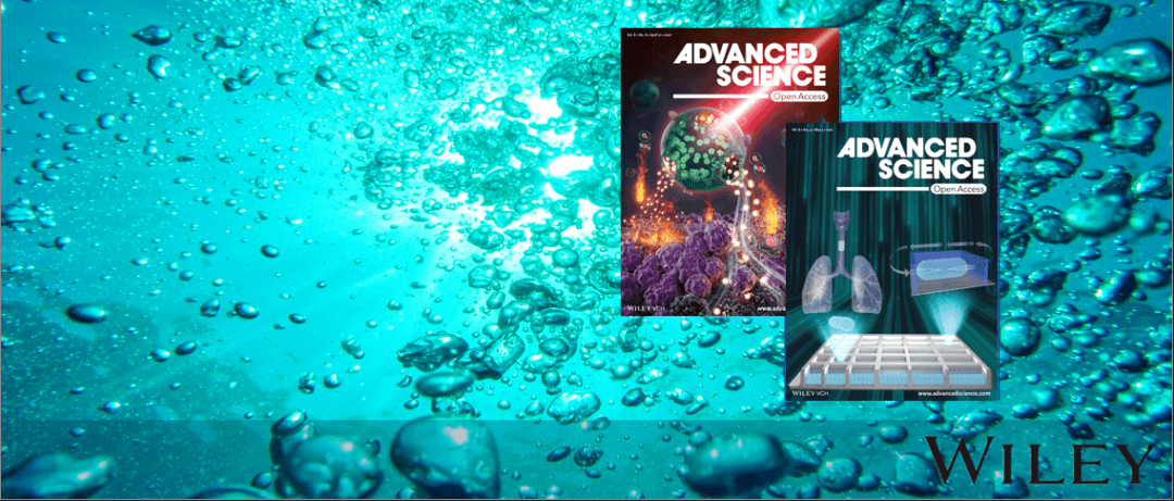 上海九院夏伦果/房兵AS：掺锰纳米生物材料调控T淋巴细胞极化促进颌骨再生_研究_免疫_磷灰石