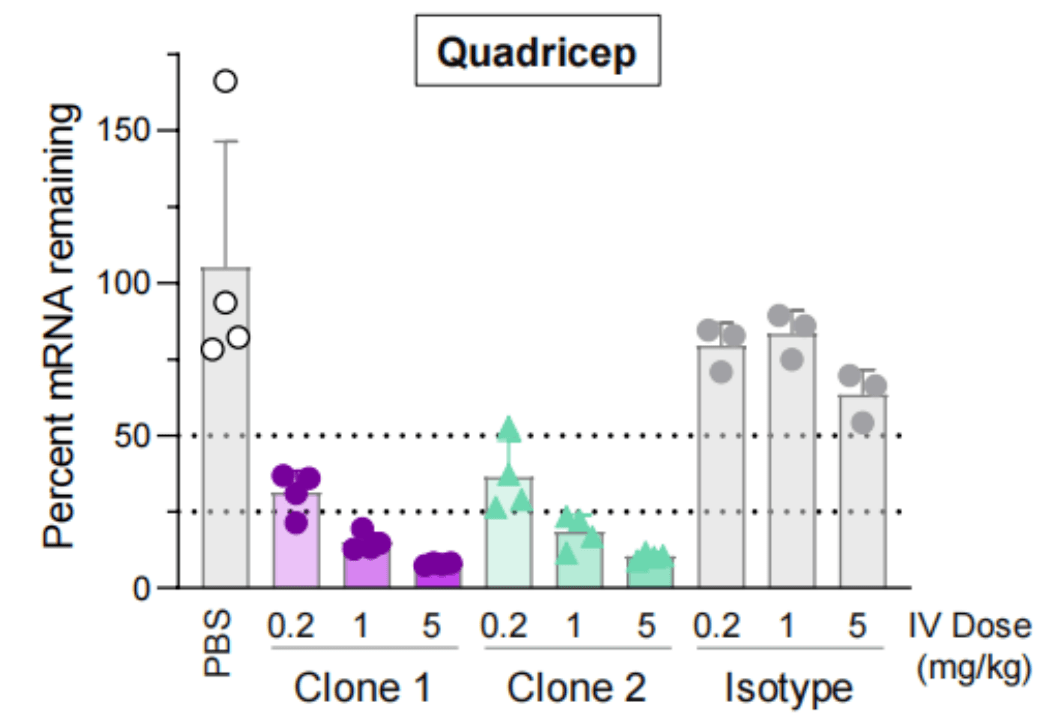 Alnylam：三驾马车将RNAi推向更广泛的适应症_基因组_siRNA_疾病