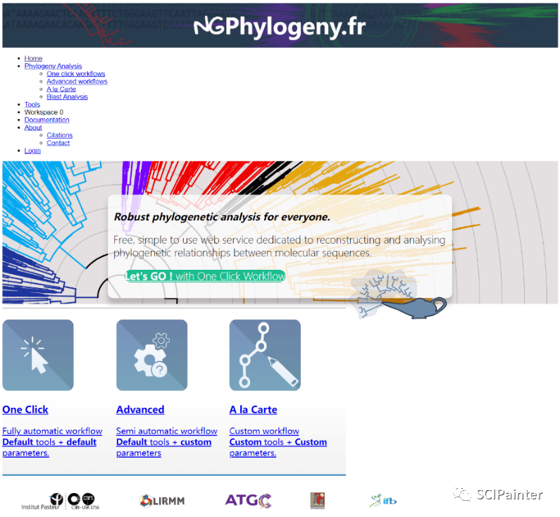 分享10种进化树构建美化相关的教程_Blast_ggtree_One